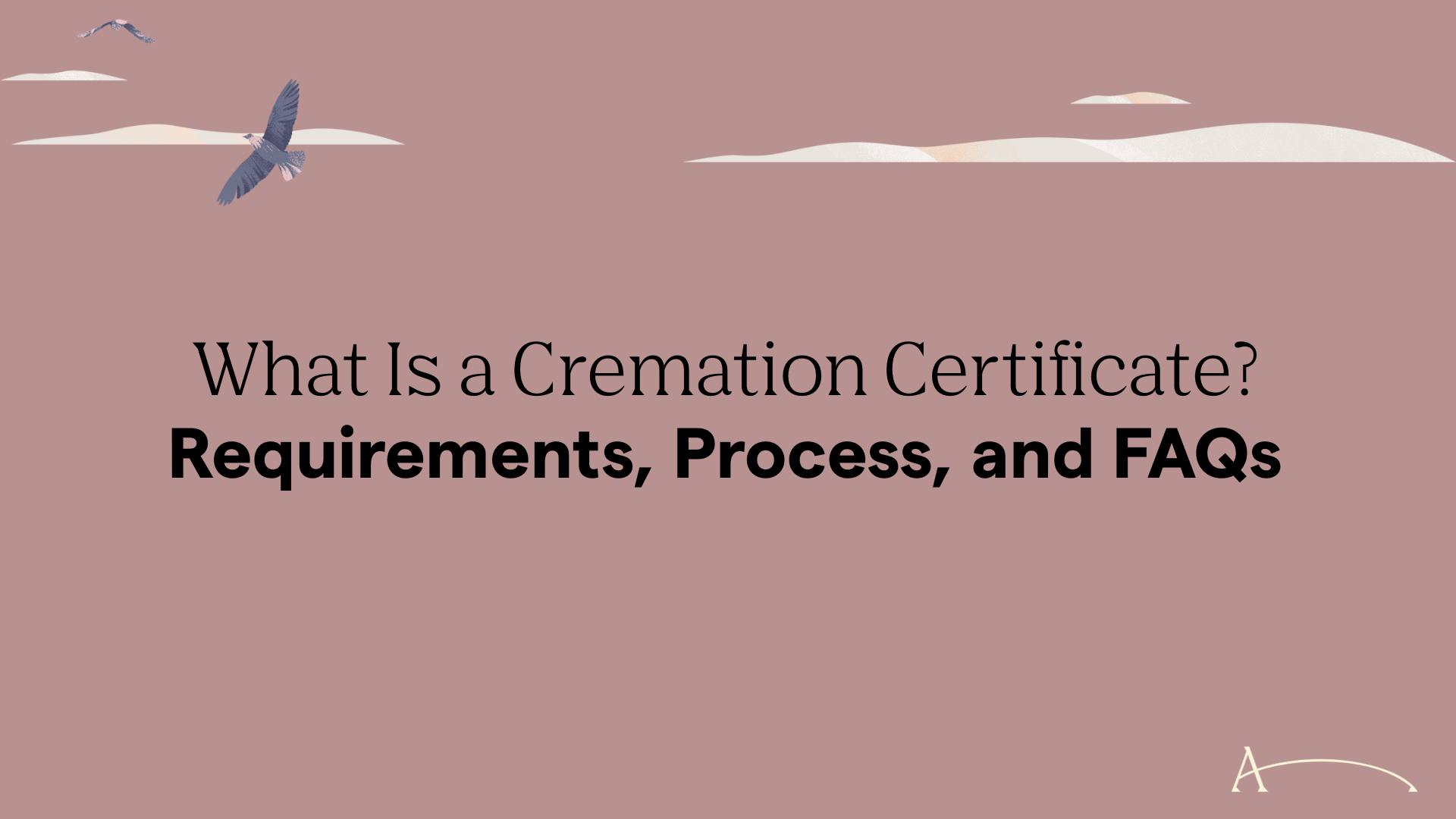 What Is a Cremation Certificate? Requirements, Process, and FAQs | After®.com Blog